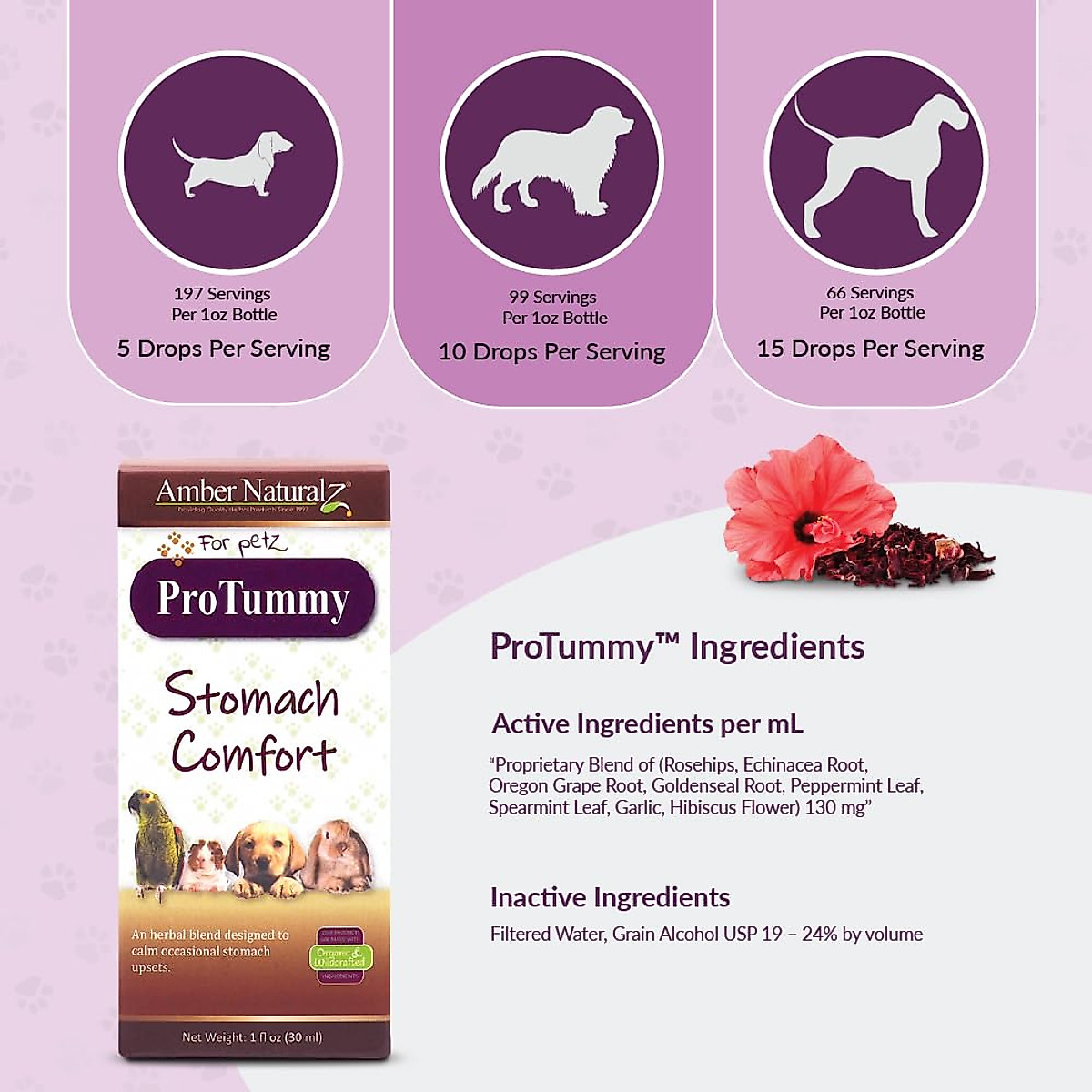 Amber NaturalZ ProTummy Stomach Comfort Herbal Blend for Dogs, Bird, Guinea Pigs, and Rabbits | Herbal Supplement for Occasional Upset Stomach | 1 Fluid Ounce Glass Bottle | Manufactured in The USA