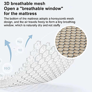 DSFSSJ Japanese Bed Floor Mattress Futon Mattress, Portable Roll Up Mattress Sleeping Pad Floor Bed for Guest Room,Tatami Mat Sleeping Pad, Back-Sided Has Breathable Mesh, White-King