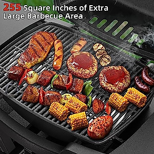 Portable Gas Grill, Portable Propane Grill, Propane Gas Grill, 24,000 BTU Outdoor Tabletop Small BBQ Grill with Two Burners, Removable Side Tables, Gas Hose and Regulator, Built in Thermometer, Black