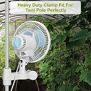 blessny 6 Inch Oscillating Grow Tent Clip on Fan for Pole Mount 0.6-1 inch, 8 Ft Long cord Small growing Monkey Fan Oscillation for Hydroponic, 20W 2-Speed Super quiet with Heavy duty Clamp