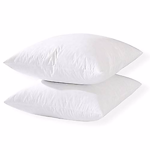 WHITEWRAP 20"x20" Set of 2 Throw Pillow Insert Decorative Polyester Filling Premium Hypoallergenic Sham Stuffer Square Couch - White