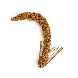 Healthy Select Spray Millet 16 oz., Pack of 24