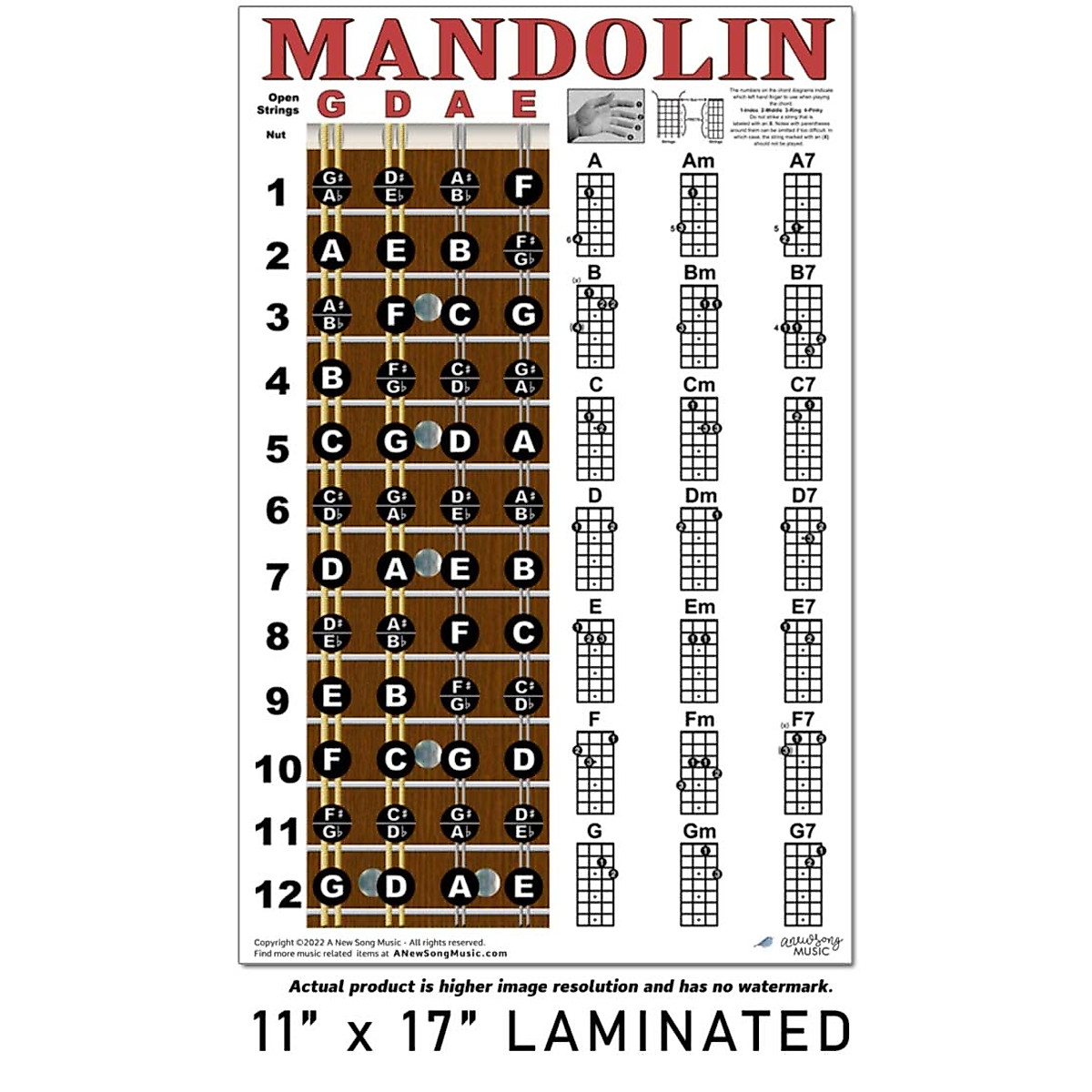 Laminated Mandolin Fretboard Notes & Easy Beginner Chord Chart 11"x17" Instructional Poster by A New Song Music