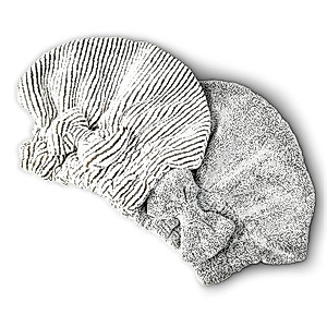 SportMore Microfiber Hair Towel Cap,Soft Absorbent Quick Drying Cap for Curly Thick Hair, Wrap Cap for Women Girls-Set of 2 Pcs (Stripe&Gray)