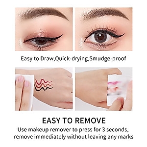 COLORKEY Floating Color 24 Hours Longwear Waterproof Liquid Eyeliner, Sweat Resistant, Waterproof and Smudgeproof Eye Liners Eyeliner Pencil (N01 Black)