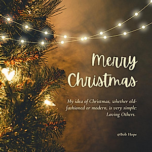 Yes4All Workout Sandbags, Heavy Duty Sandbags - Army Green - L