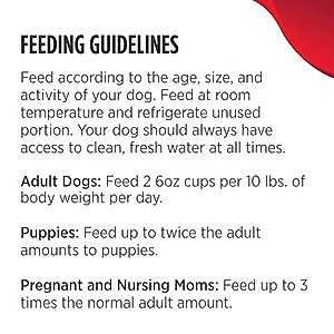 Nulo Dog Signature Stew Chicken, Duck, & Pumpkin in Broth, 6 Ounce, Pack of 16