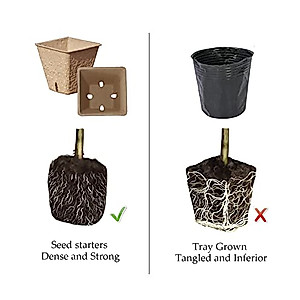 UTYLNE Seed Starter Kit with 90 Peat Pots for Seedlings Seed Starter Tray, 5 Plastic Growing Trays 20 Plant Labels & 3 Garden Tools Outdoor or Indoor