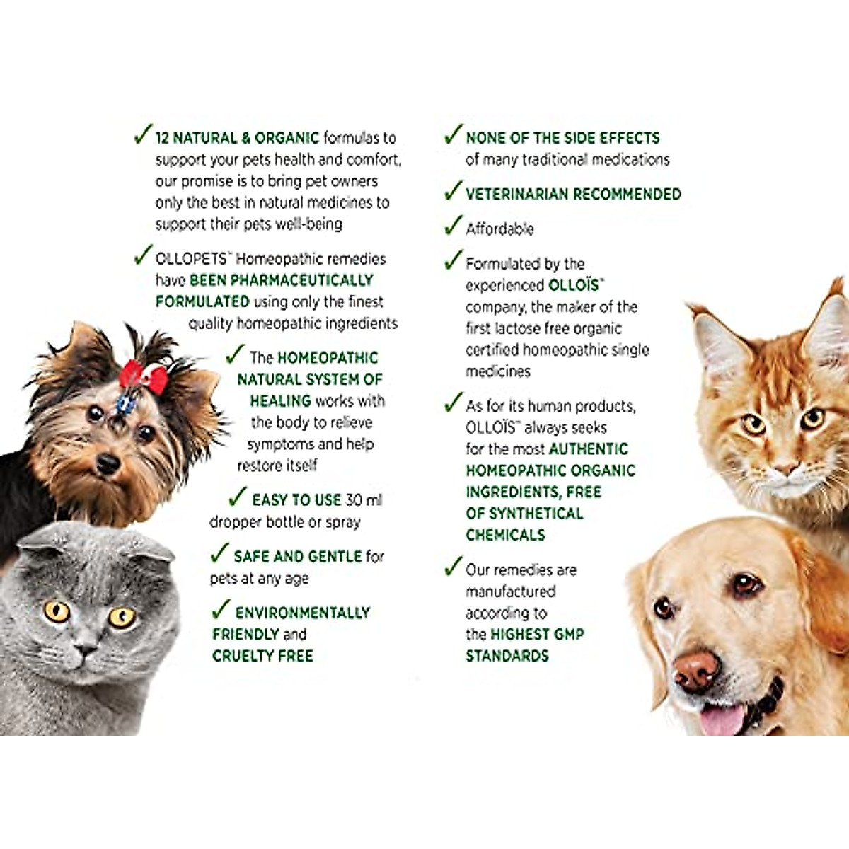 OLLOPETS Dental Care, Organic Homeopathic Remedy for All Pets, 1 Fl Ounce