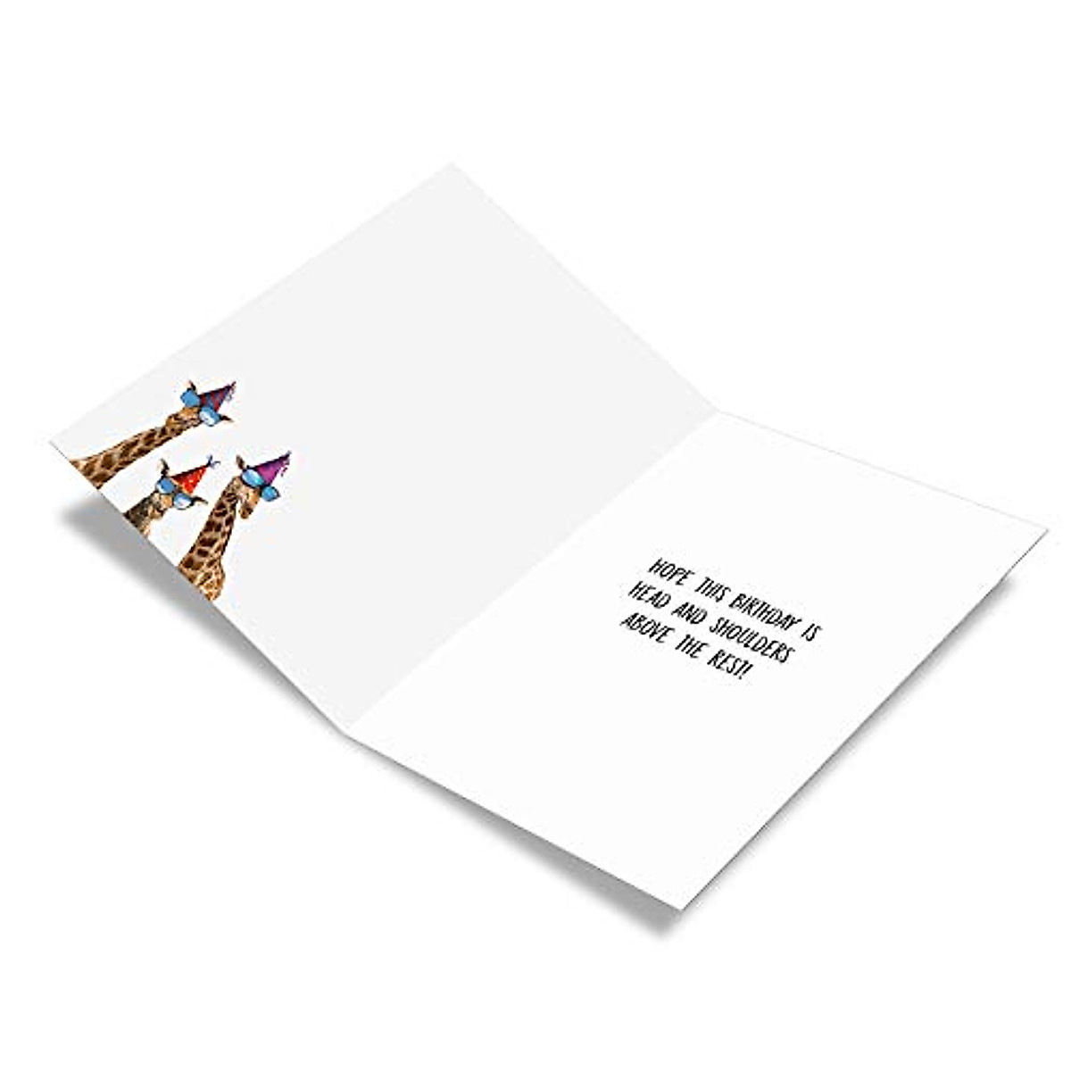 NobleWorks - 1 Adorable Birthday Card Funny - Giraffe Animal Humor, Bday Notecard with Envelope - Cool Giraffes C6335BDG