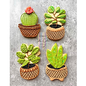 Tropical Houseplants Cookie Cutters 3-Pc. Set Made in the USA by Ann Clark, Fiddle Fig, Snake Plant, and Prickly Pear Cactus