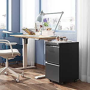 DEVAISE 2-Drawer Mobile File Cabinet with Lock, Vertical Filing Cabinet, Black