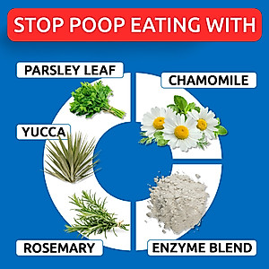 BARK&SPARK NO Poo Treats - Prevent Dog Poop Eating - Coprophagia Treatment - Stool Eating Deterrent - Probiotics & Enzymes - Digestive Health + Breath Aid - 120 Soft Chews - USA Made - Chicken Liver