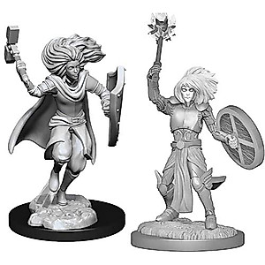 D&D Nolzur's Marvelous Miniatures: Changeling Cleric