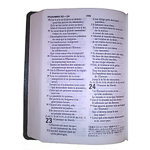 French Bible Large Print