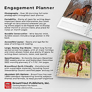 Horse Lovers | 2023 6 x 7.75 Inch Spiral-Bound Wire-O Weekly Engagement Planner Calendar | New Full-Color Image Every Week | BrownTrout | Animals Equestrian