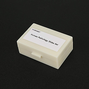 Prepared Human Pathology Microscope Slide Set, 12pcs Research-Quality Prepared Tissue Microscope Slides of Human Diseases (Human Pathology)