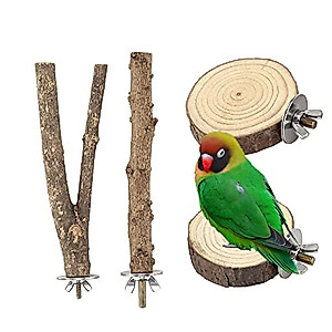 Filhome Bird Perch Stand Toy, Natural Wood Parrot Perch Bird Cage Branch Perch Accessories for Parakeets Cockatiels Conures Macaws Finches Love Birds (15CM YIOO)