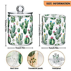 BOENLE 2 Pack Qtip Holder Dispenser Green Cactus Succulents Flowers Storage Canister Bathroom Apothecary Jars Acrylic Plastic Vanity Organizer Lid for Cotton Swab/Ball/Pad