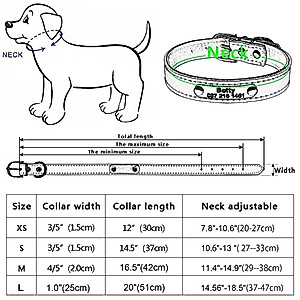 Personalized Leather Dog Collars for Small Medium Large Dogs,Custom Dog Collar with Nameplate, Option to Blue,Pink,Red,Purple,Green,Black,Brown