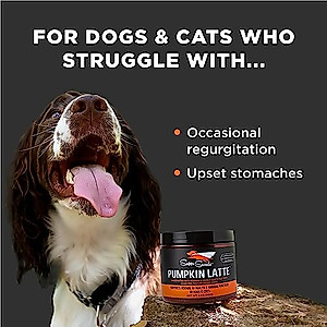 Diggin's Your Dog Super Snouts Pumpkin Latte Digestive Supplement for Dogs and Cats, 5 Ounce - Antibiotic Free, Maintains Healthy Gut, Promotes Stool Consistency