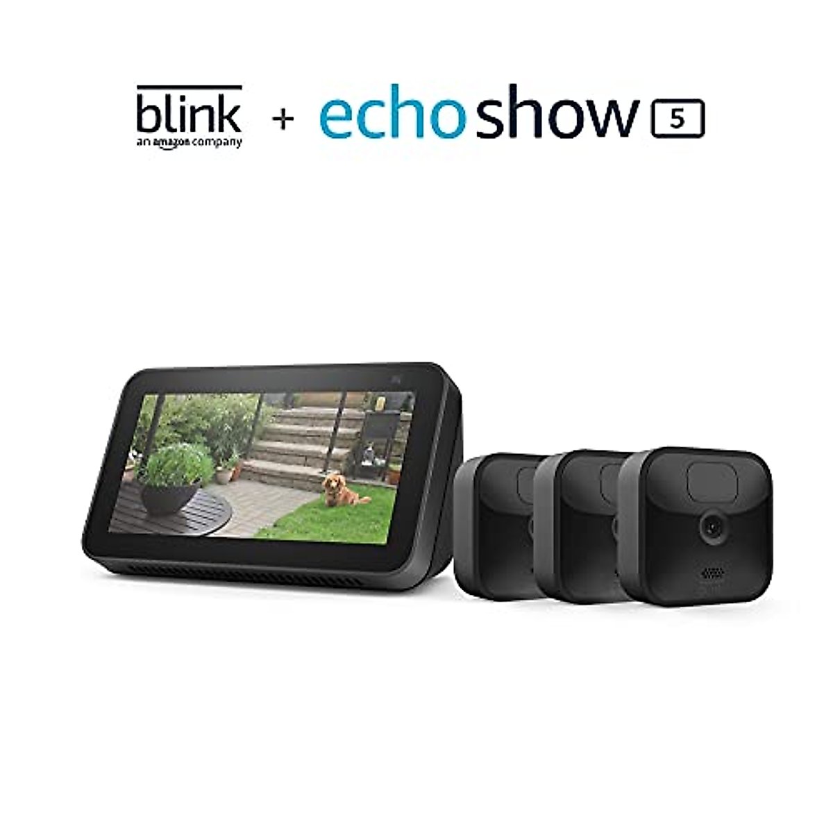 Blink Outdoor (3rd Gen) - 3 camera system bundle with Echo Show 5 (2nd Gen)