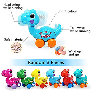 Dinosaur Toys , 6 Pack Wind Up Pull Back Dinosaur Toys for 3,4,5,6 Years Old Girls Toddlers Boys, Dinosaur Birthday Party Supplies Favors with Dinosaur Backpack