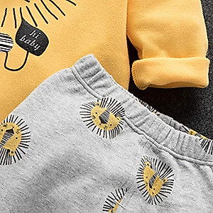 Newborn Baby Boy Clothes Little Lion Print Romper+Pants+Hat Newborn Boy Outfits Set(0-3 Months)