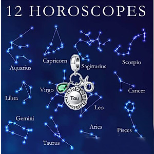 DWJSu 12 Zodiac Sign Constellation Charms fit Pandora Birthstone Charm Bracelet and Necklace Horoscope Astrology Friend Bead Birthday Gift