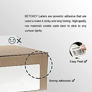 BETCKEY - Compatible DYMO 30277 (9/16" x 3-7/16") File Folder(2-UP) Labels - Compatible with Rollo, DYMO Labelwriter 450, 4XL & Zebra Desktop Printers[10 Rolls]