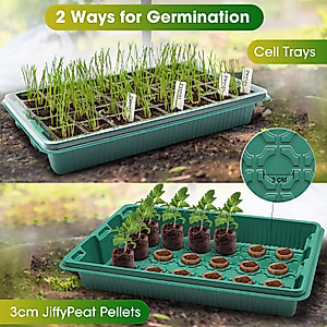 MQUPIN Seed Starter Tray with Grow Light 4 LED, 2 Pack/80 Cells Adjustable Brightness Seed Starter Kit,Seedling Starter Kit with Dome and Base for Greenhouse Seeds Growing Starting(Green)