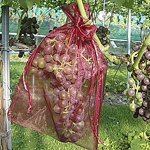ANWUYANG 50pcs Fruits Plant Nursery Bags, Grapes Gardening Protection Drawstring Mesh Bag, Home Candy Pearl Storage Bag, 17x23cm (Color : Red)