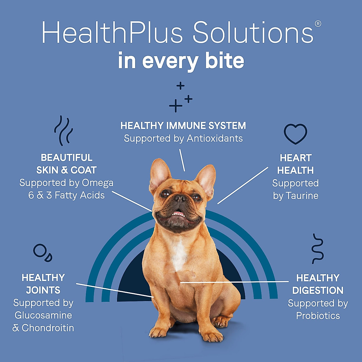 CANIDAE Pure Petite Premium Dry Dog Food for Small Breeds, Chicken & Wholesome Grains Recipe, 4 lbs.