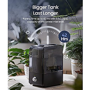 raydrop Humidifiers for Bedroom (6.5L), Ultrasonic Cool Mist Humidifiers for Large Room, Home, Plant, Quiet Air Vaporizer with Night Light, Easy to Clean, 42h Work Time, Auto Shut-Off (Black)
