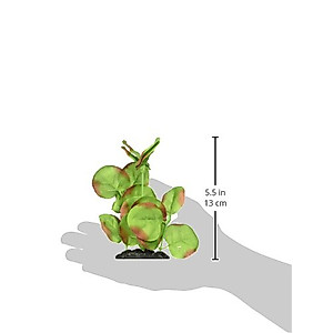 Marina Naturals, Green Moneywort Foreground Silk Plant, Small Fish Tank Decoration, PP115