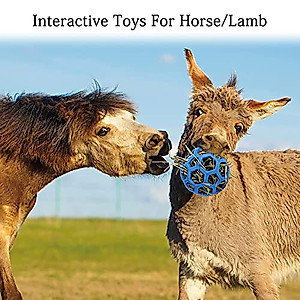 WishLotus Hay Feeder Ball, Horse Treat Ball Hanging Hay Feeder Toy to Have Fun and Relieve Stress, Horse Feed Ball to Improve Horse Digestion, Hay Ball for Horses, Sheep and Goats (Blue)