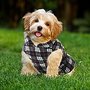 4 Pieces Winter Fabric Dog Sweater with Leash Ring Fleece Vest Dog Pullover Jacket Warm Pet Dog Clothes for Puppy Small Dogs Cat Chihuahua Boy (Plaid Pattern, M)