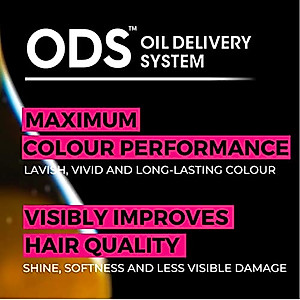 Garnier Olia Deep Violet Permanent Hair Dye, No Ammonia for A Pleasant Scent, Up To 100% Grey Hair Coverage, Maximum Colour Performance, 60% Oils - 3.16 Deep Violet