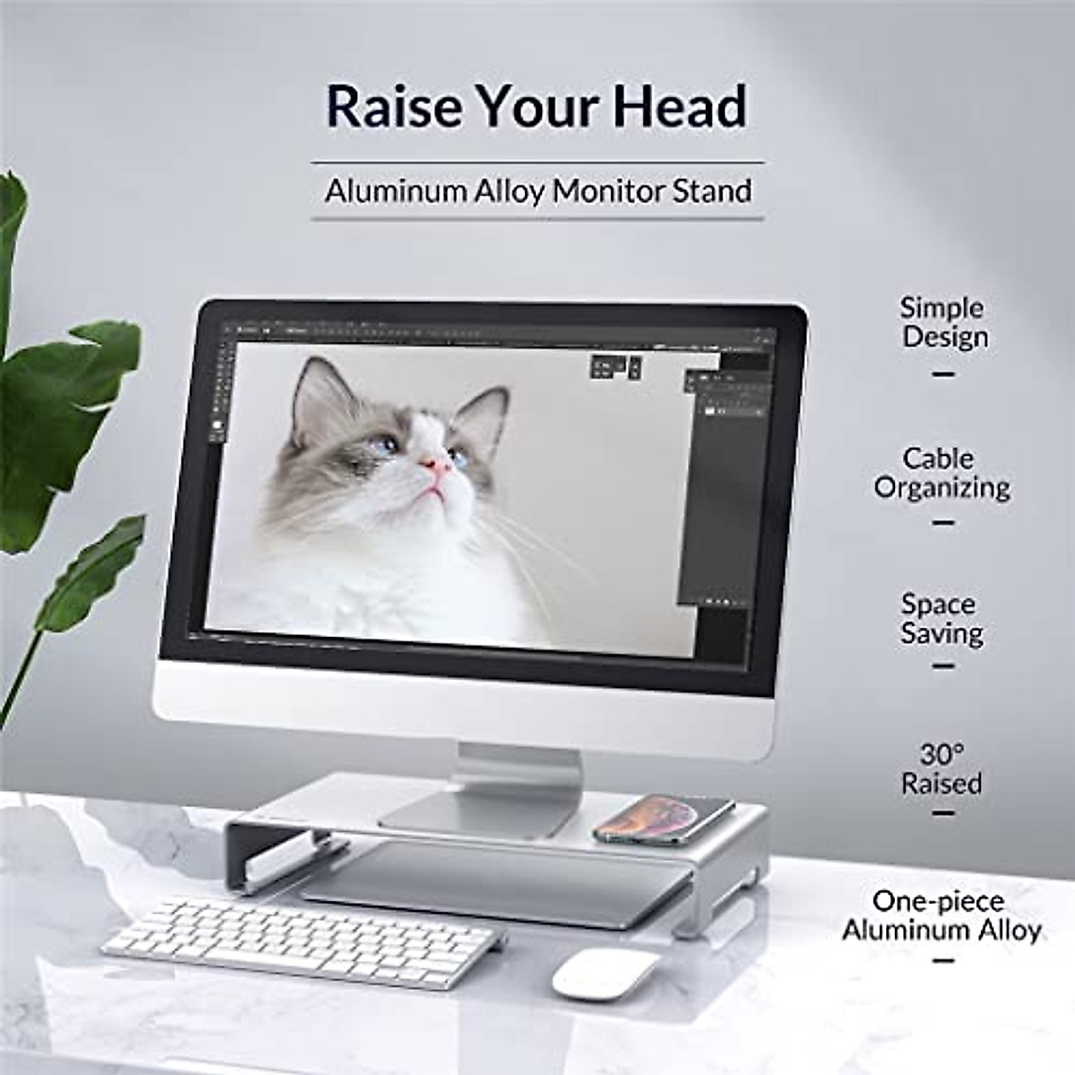 ASDAJK Aluminum Monitor Stand Riser Computer Universal Laptop Stand Metal Desktop Stand Organizer for PC Home Office (Color : White-Fruit peach5)