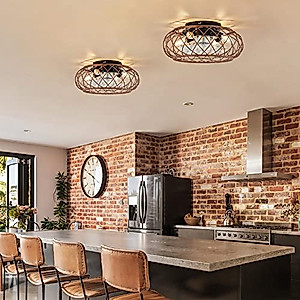 17'' Low Profile Caged Ceiling Fan with Lights Remote Control, Metal Flush Mount Indoor, 3 Speeds Adjustable, Small Industrial Ceiling Fan with Light for Living Room, Kitchen, Bedroom