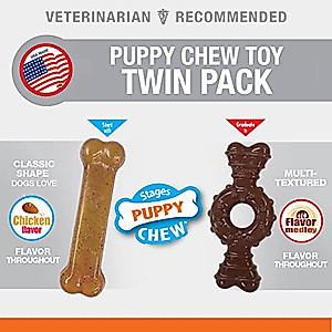 Nylabone Puppy Chew Toy Twin Pack - Puppy Chew Toys for Teething - Puppy Supplies - Medley & Chicken Flavor, X-Small/Petite (2 Count)