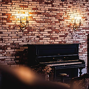 Amazon Basics 60W Equivalent, Clear, Daylight, Dimmable, 15,000 Hour Lifetime, B11 (E12 Candelabra Base) LED Light Bulb | 3-Pack