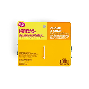 Leaps & Bounds Dog Chew Toy Bone Medium