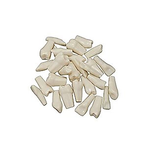 32pcs Removable Teeth Piece for Typodont Teeth Model Compatible with Kilgore Nissin for Teaching, Study