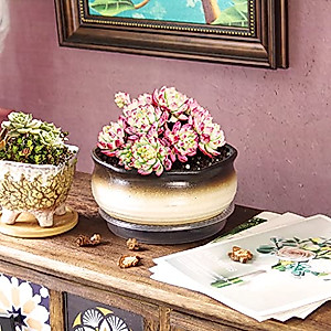 Summer Impressions 8 Inch Glazed Terracotta Plant Pot Round Ceramic Succulent Planter Pot with Drainage and Saucer Cactus Clay Pot Bonsai Pot