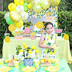 20Pcs Lemon Hanging Swirl Decorations, Citrus Lemonade Party Hanging Decor for Lemonade Baby Shower, Citrus Lime Birthday Party, Summer Fruit Party Decor, Celling, Home, Office Decor
