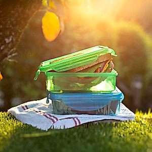 Tafura Sandwich Containers (3 Pack) Sandwich Box | Lunch Containers | Sandwich Containers for Lunch Boxes | Reusable Sandwich Holder, BPA Free