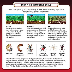 Scotts GrubEx1 - Grub Killer for Lawns, Kills White Grubs, Sod Webworms and Larvae of Japanese Beetles & More, Lawn Treatment for Season Long Grub Control, Treats up to 10,000 sq. ft., 28.7 lb.