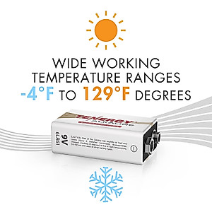 Tenergy 6LR61 9V Alkaline Battery, Non-Rechargeable Battery for Smoke Alarms, Guitar Pickups, Microphones and More, 12 Pack