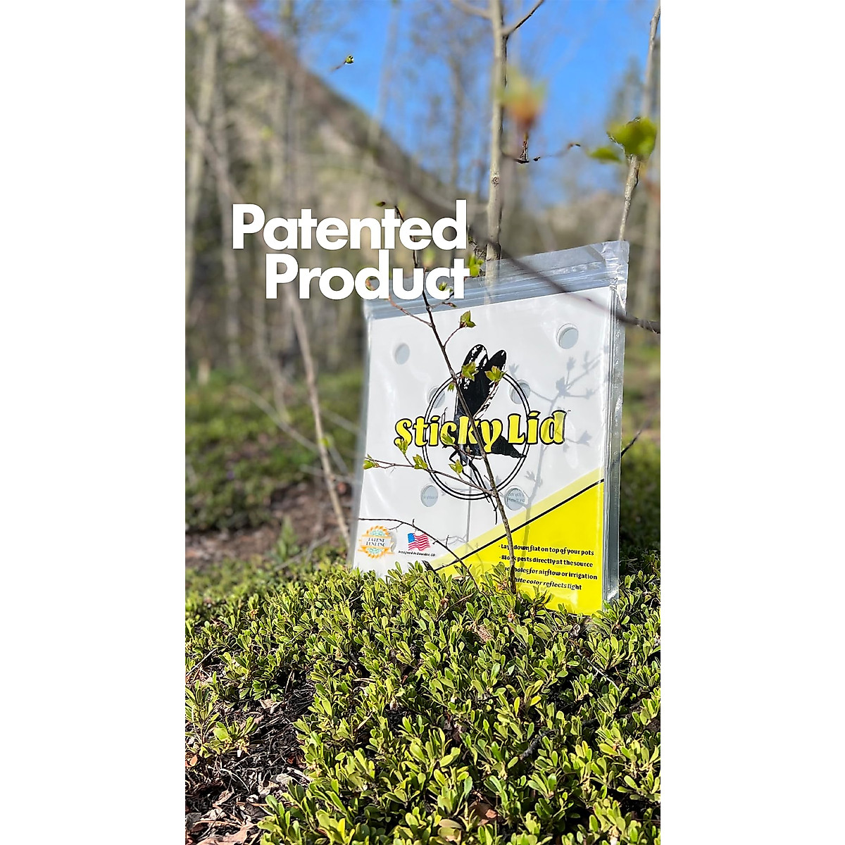 Sticky Lid 12" Sticky Trap - Fungus Gnats - Covers Entire Pot - 4X Larger & More Rigid - Weatherproof - Reflects Light - Non Toxic - EPA Registered Establishment - 10 Pack